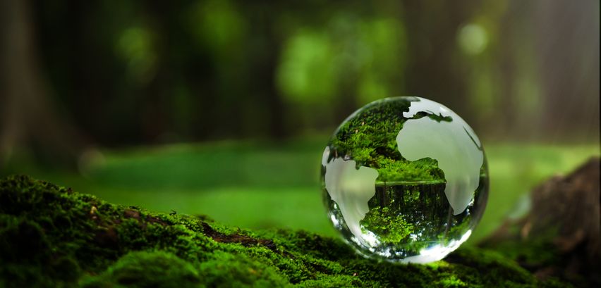 Nachhaltige Investitionen in Mehrfamilienhäuser: ESG-Kriterien und grüne Immobilien | Gelbe Seiten